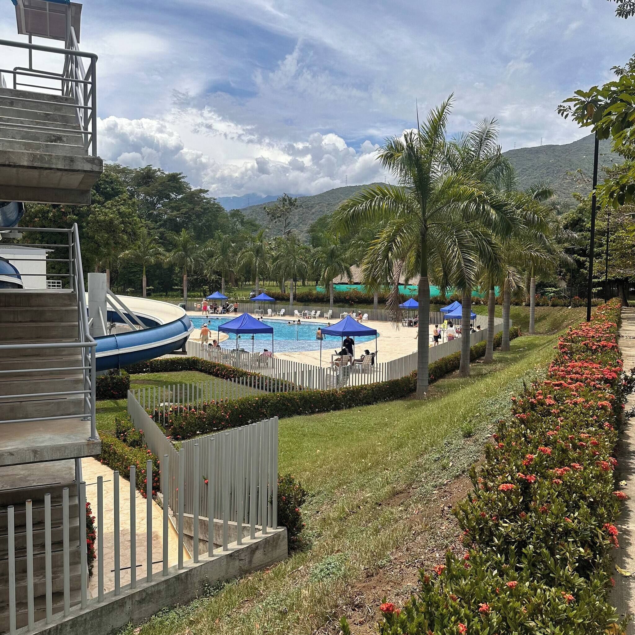 Uma área de piscina com escorregador aquático, cercada por palmeiras e um muro de madeira.