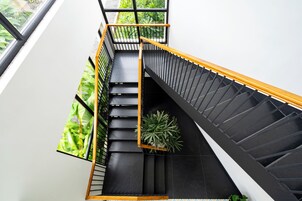 Uma escadaria moderna com degraus pretos e corrimãos de madeira, cercada por vegetação e uma janela grande.