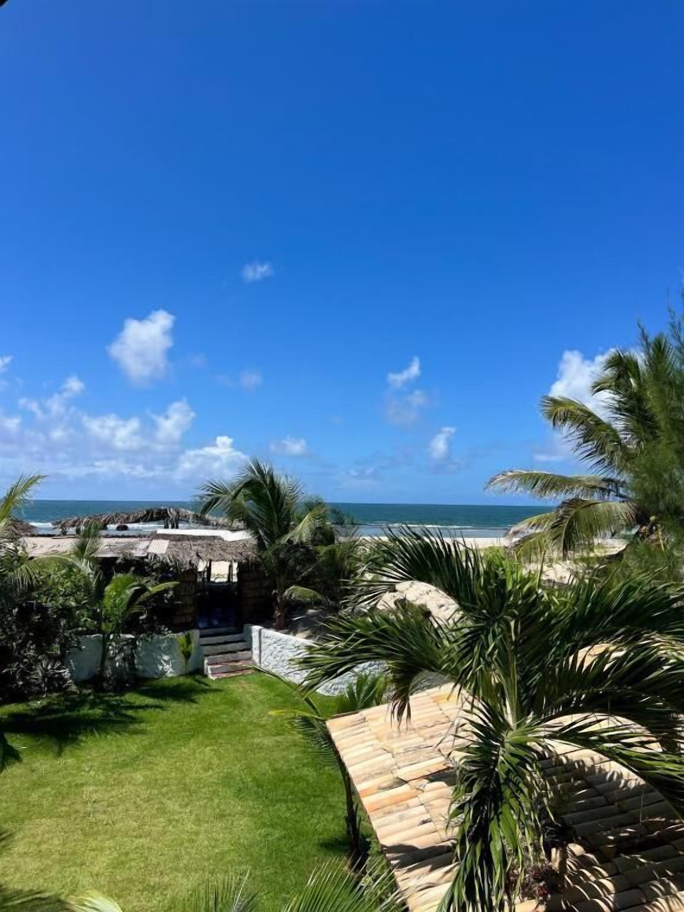 Vista de uma praia com palmeiras e céu claro.