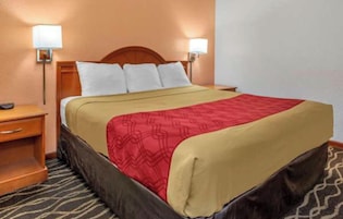 Quarto standard