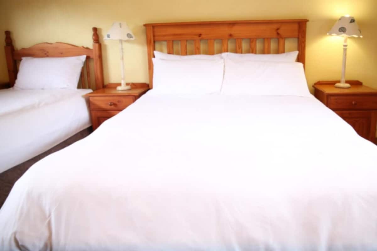 Apartamento standard | Ferros/tábuas de passar roupa, Wi-Fi de cortesia