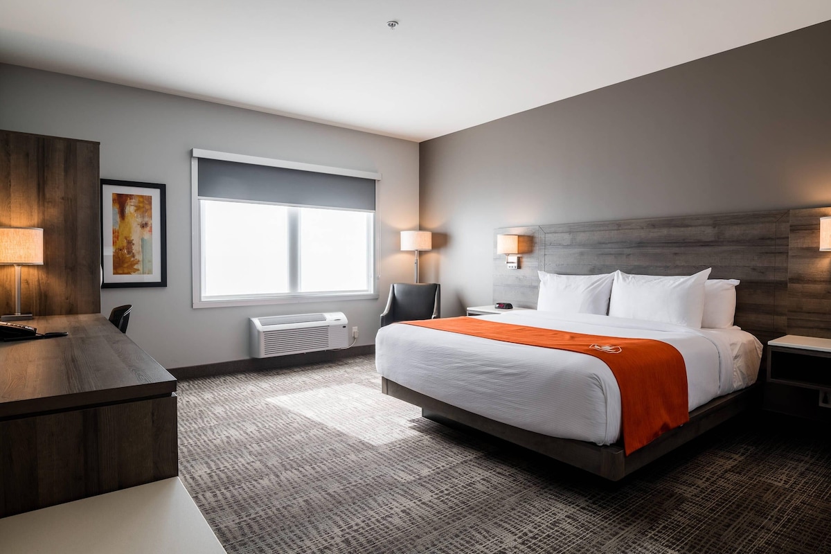 Quarto, 1 cama king-size, acessível, não fumadores | Wi-fi grátis 