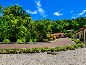 Uma trilha pavimentada que leva a um edifício com telhado vermelho, cercado por vegetação exuberante e palmeiras.