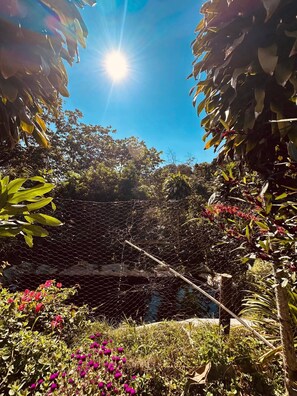 Um jardim com diversas plantas e flores, uma cerca de arame e um céu azul límpido.