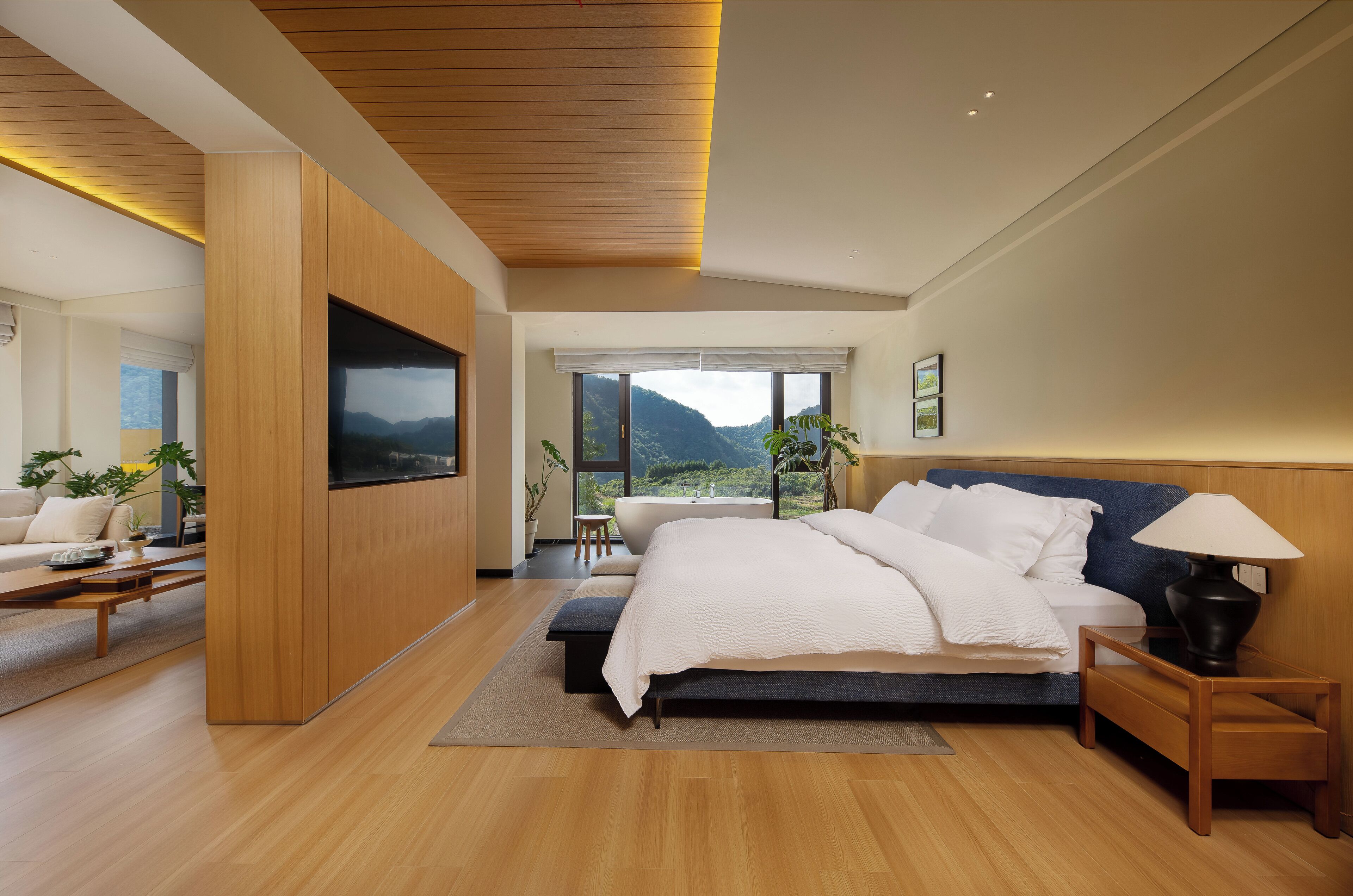 Suite Superior
