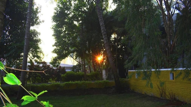 Um jardim com árvores e um muro amarelo.