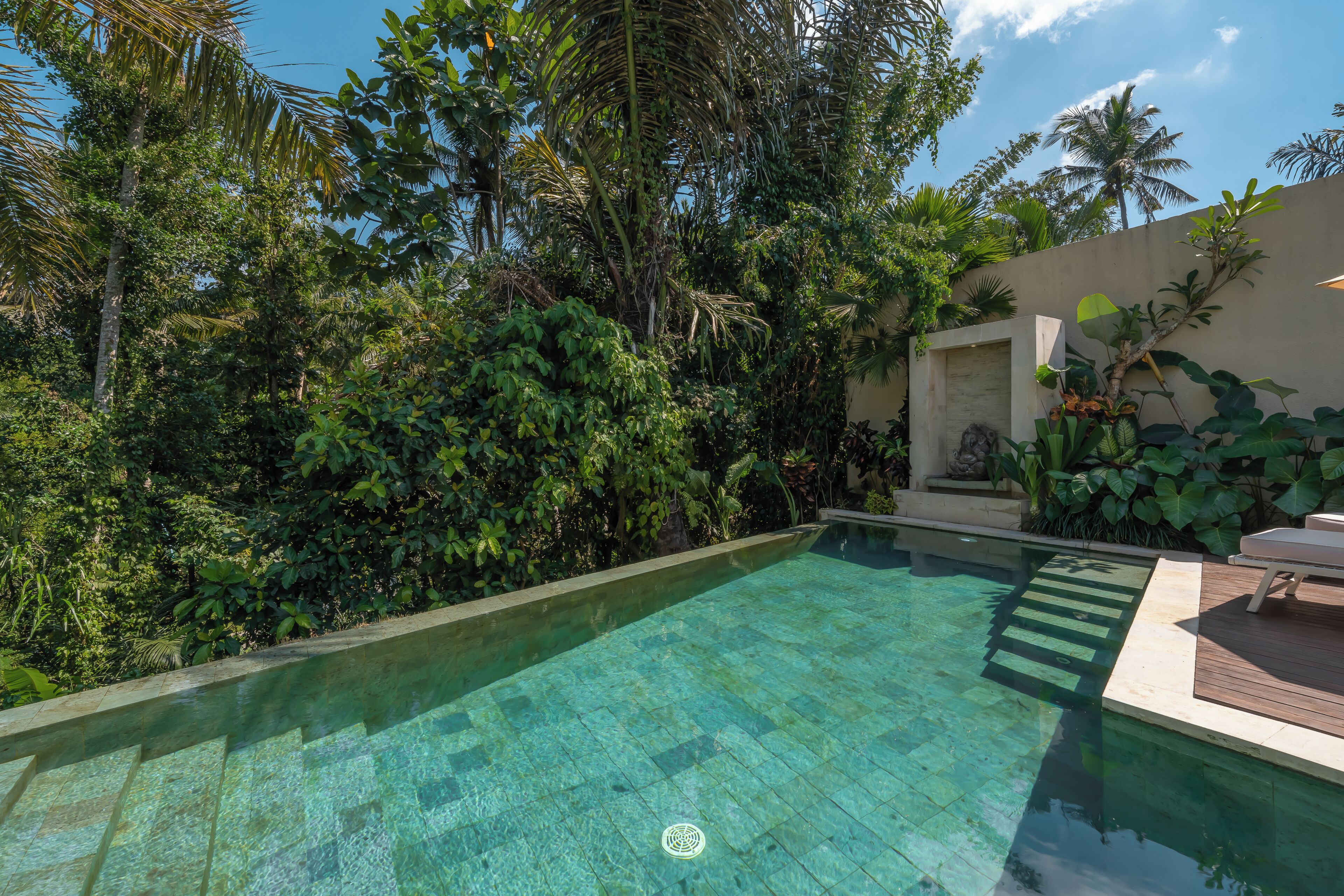 Piscina límpida rodeada por vegetação exuberante e uma parede de pedra.