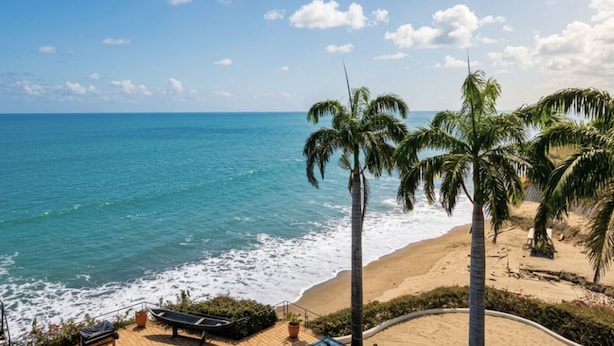 Vista da praia com palmeiras e céu claro.