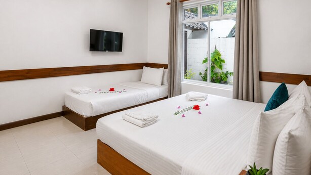 Quarto de hotel com duas camas, uma televisão de tela plana, uma janela com cortinas e um vaso de planta.