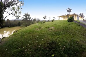 Uma área gramada com um corpo d'água e um edifício com uma palmeira.