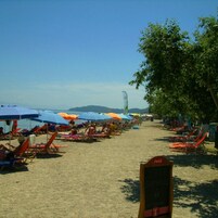 Uma praia com fileiras de espreguiçadeiras e guarda-sóis, uma placa de sinalização e céu claro.