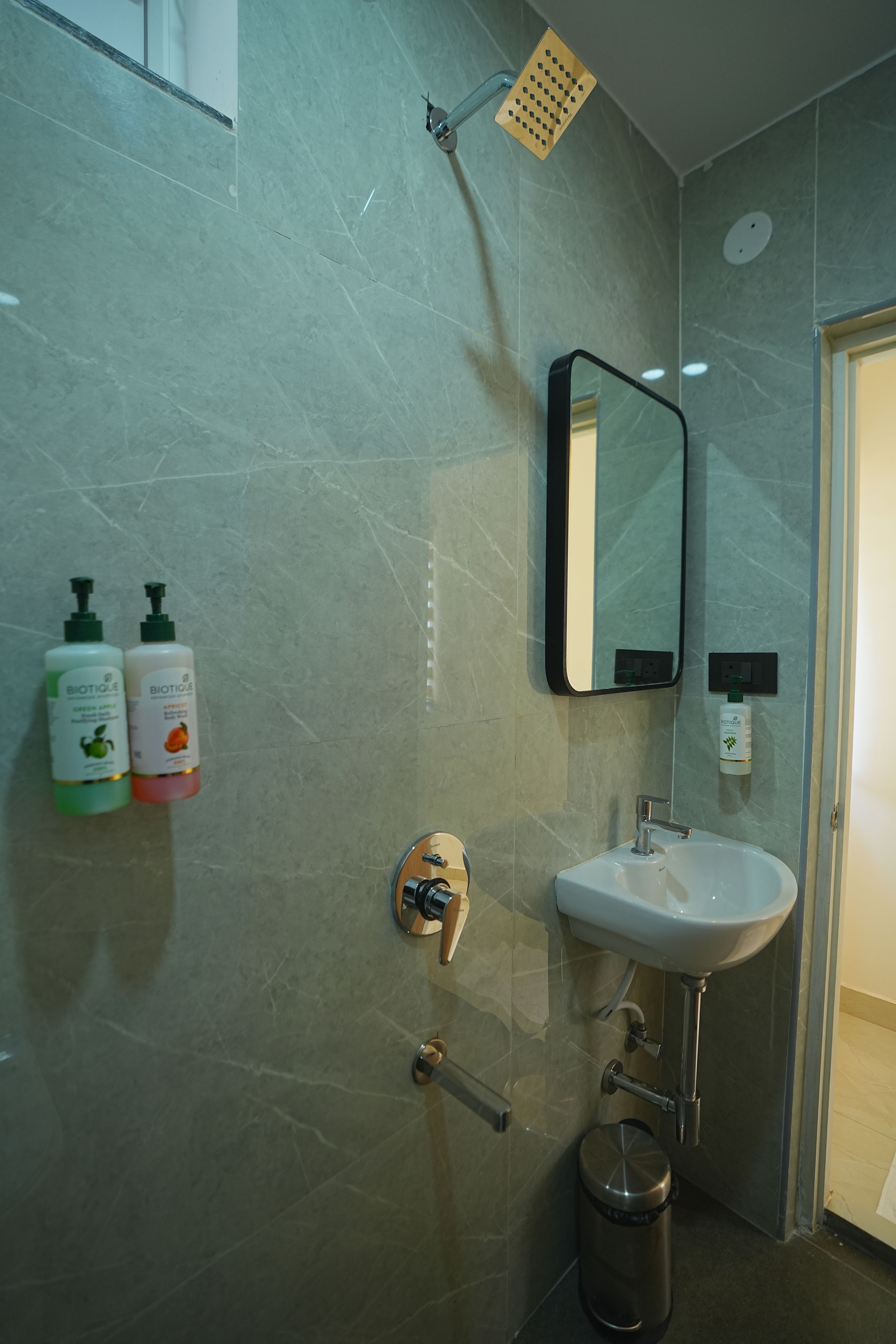 Casa de banho com lavatório, espelho, chuveiro e duas garrafas de shampoo Biotique.