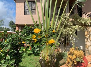 Um edifício com jardim, flores amarelas e um cacto.