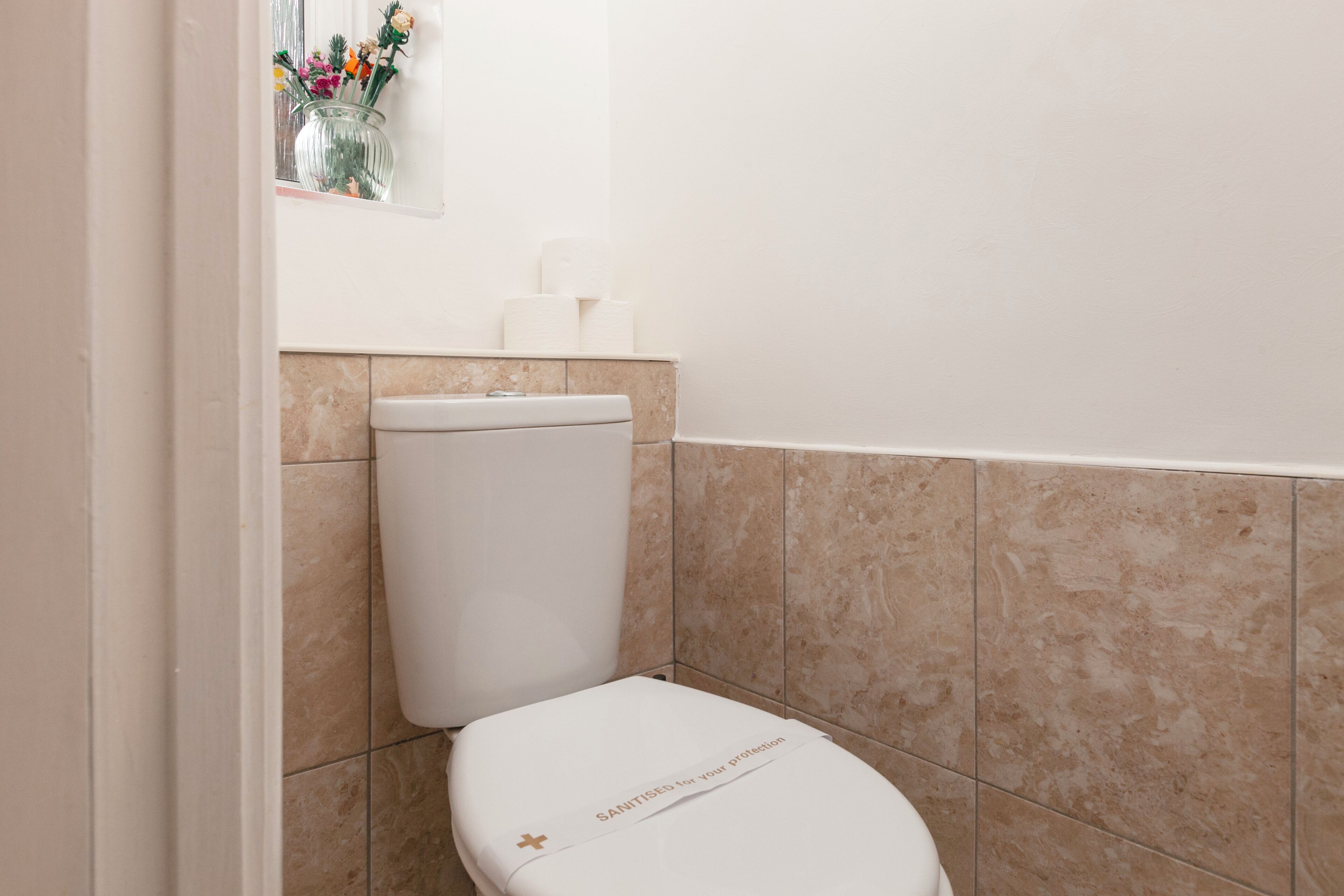 Um banheiro com vaso sanitário, rolo de papel higiênico e um vaso de flores na parede.