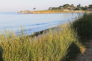 Paisagem costeira com uma praia arenosa, dunas gramadas e um mar calmo.