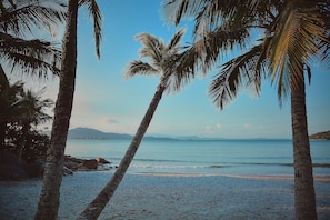 Uma praia com palmeiras, areal e mar calmo.