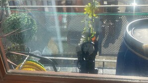 Janela com vista para um edifício, uma bicicleta e um vaso de planta.