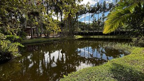Um lago calmo rodeado por vegetação exuberante e altas palmeiras.