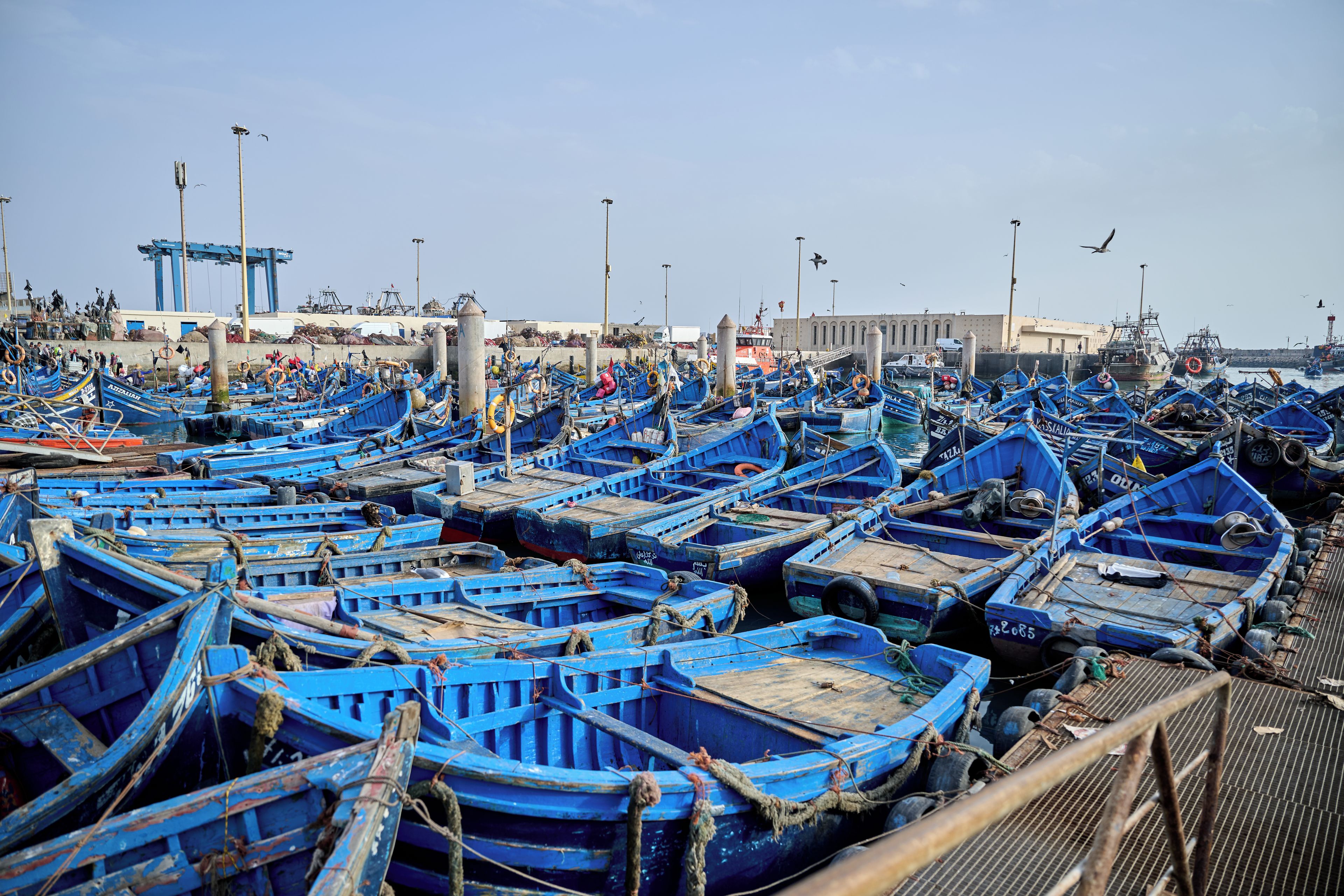 Um porto repleto de pequenos barcos azuis amarrados lado a lado.