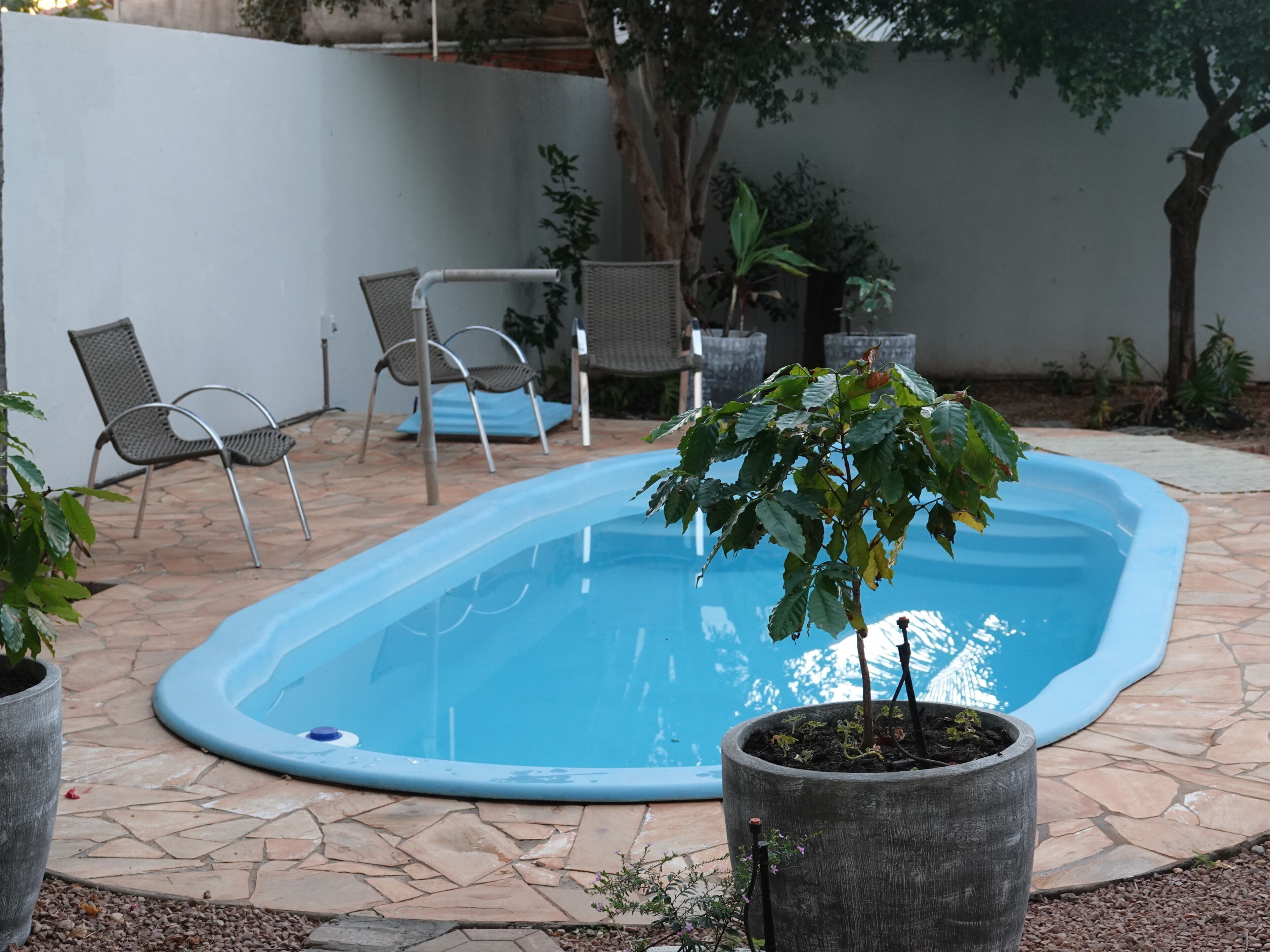 Piscina retangular com um terraço ladrilhado, rodeada por cadeiras e vasos de plantas.