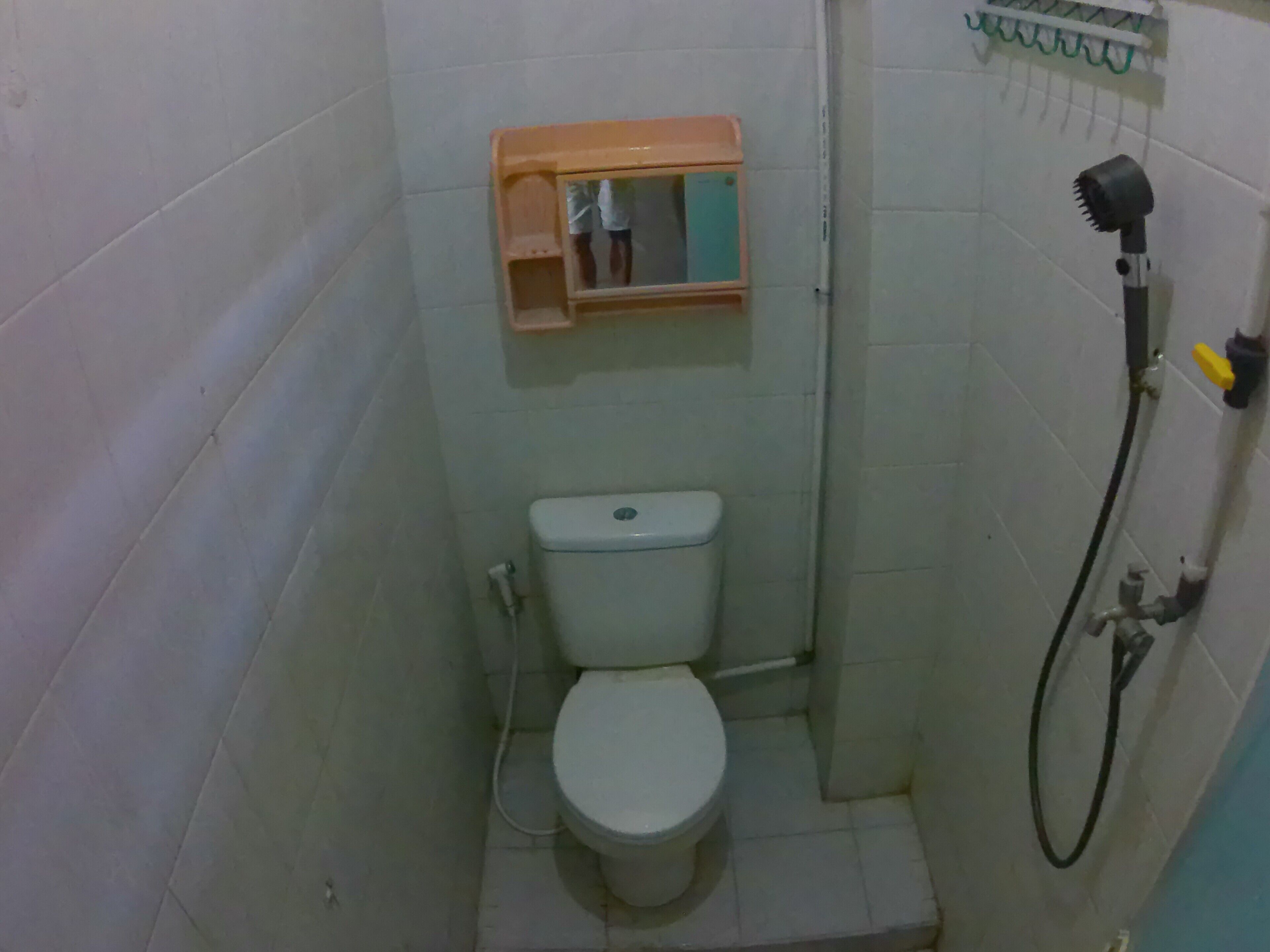 Um banheiro pequeno com vaso sanitário, chuveiro e espelho.