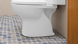 Sanitário com caixa de água e assento brancos, localizado no canto, com uma porta de madeira à direita.