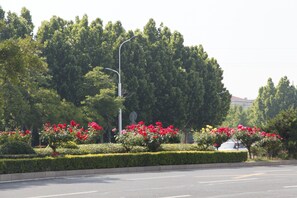 Rua com fileira de sebes e flores vermelhas, um poste de luz e árvores ao fundo.