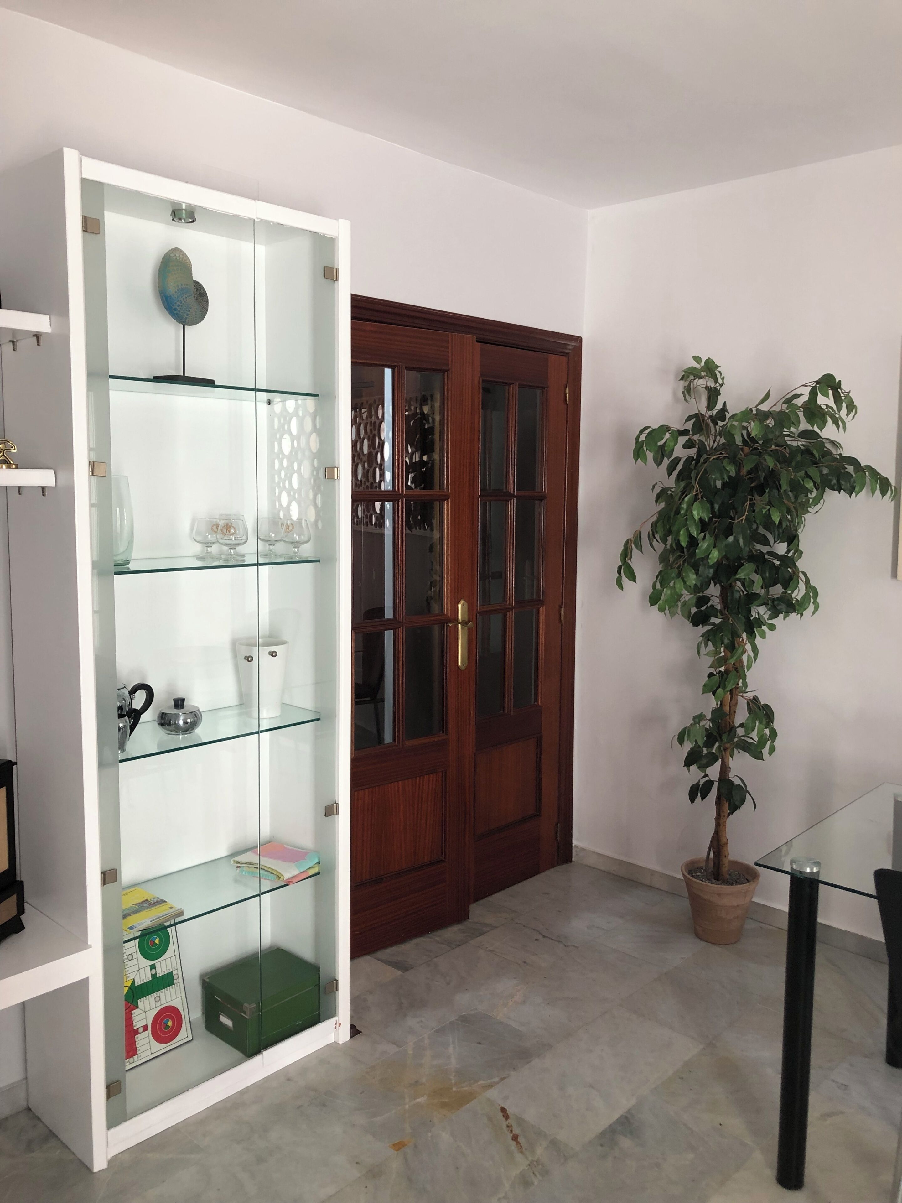 Um quarto com uma estante de vidro, porta de madeira, planta em vaso e chão de azulejos.