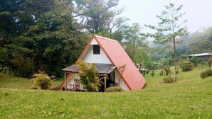 Uma pequena casa térrea com telhado inclinado, cercada por um campo gramado e árvores.