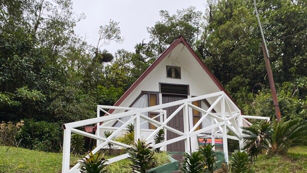 Um edifício branco com telhado vermelho, rodeado por vegetação e flores amarelas.
