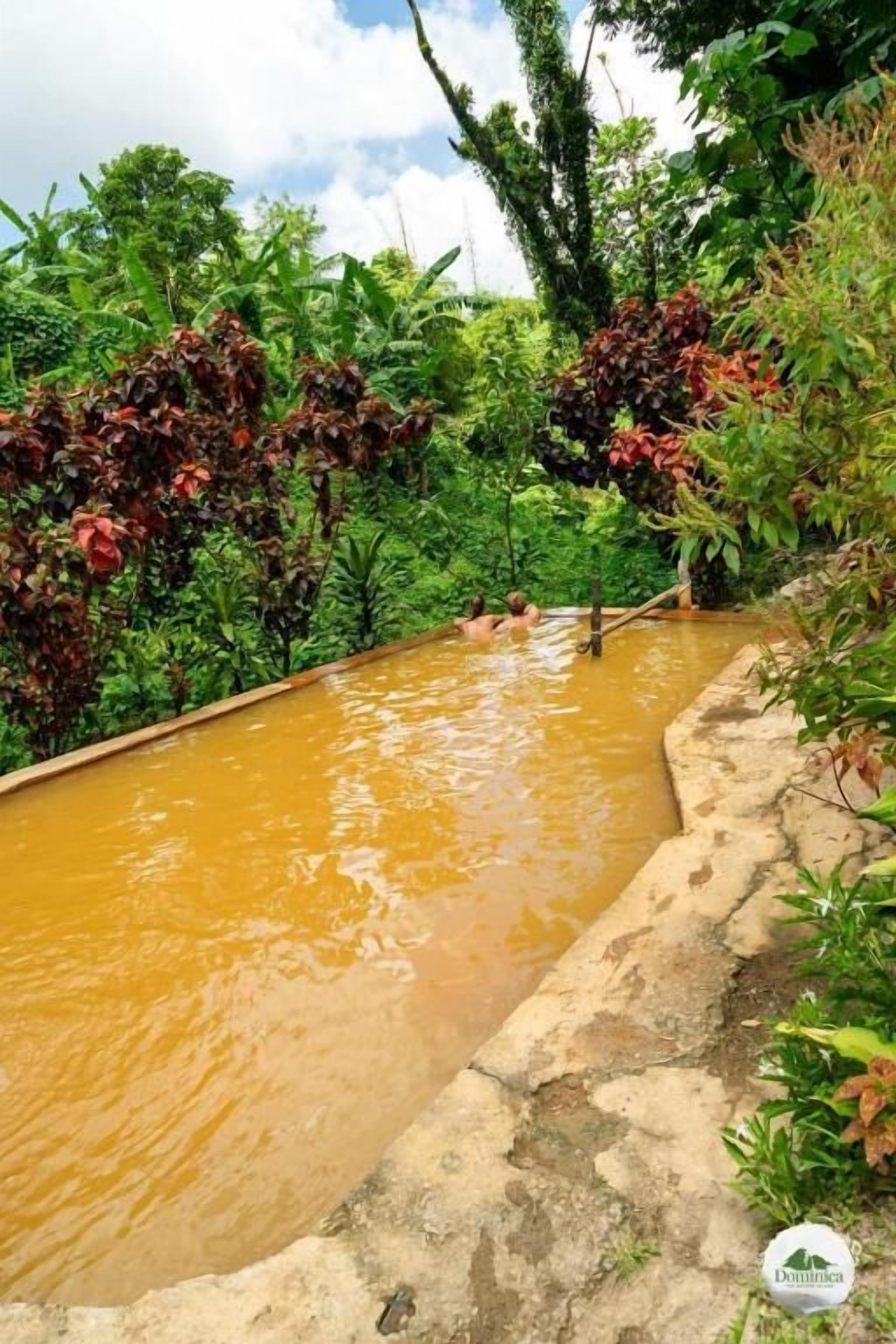 Terrenos do alojamento