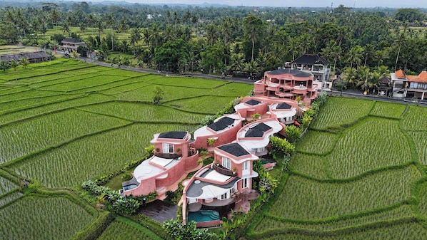 Um bairro residencial com várias casas, cercado por campos de arroz verdejantes.