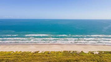 Uma praia com ondas, céu claro e vegetação ao primeiro plano.