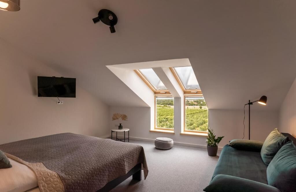 Quarto com cama, sofá, televisão, claraboia e planta em vaso.