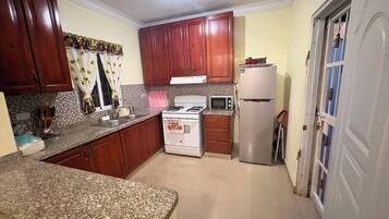 Um frigorífico/congelador grande, um micro-ondas, um forno