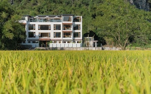 Um edifício de vários andares com telhado plano, rodeado por uma paisagem verde exuberante e um campo de plantações.