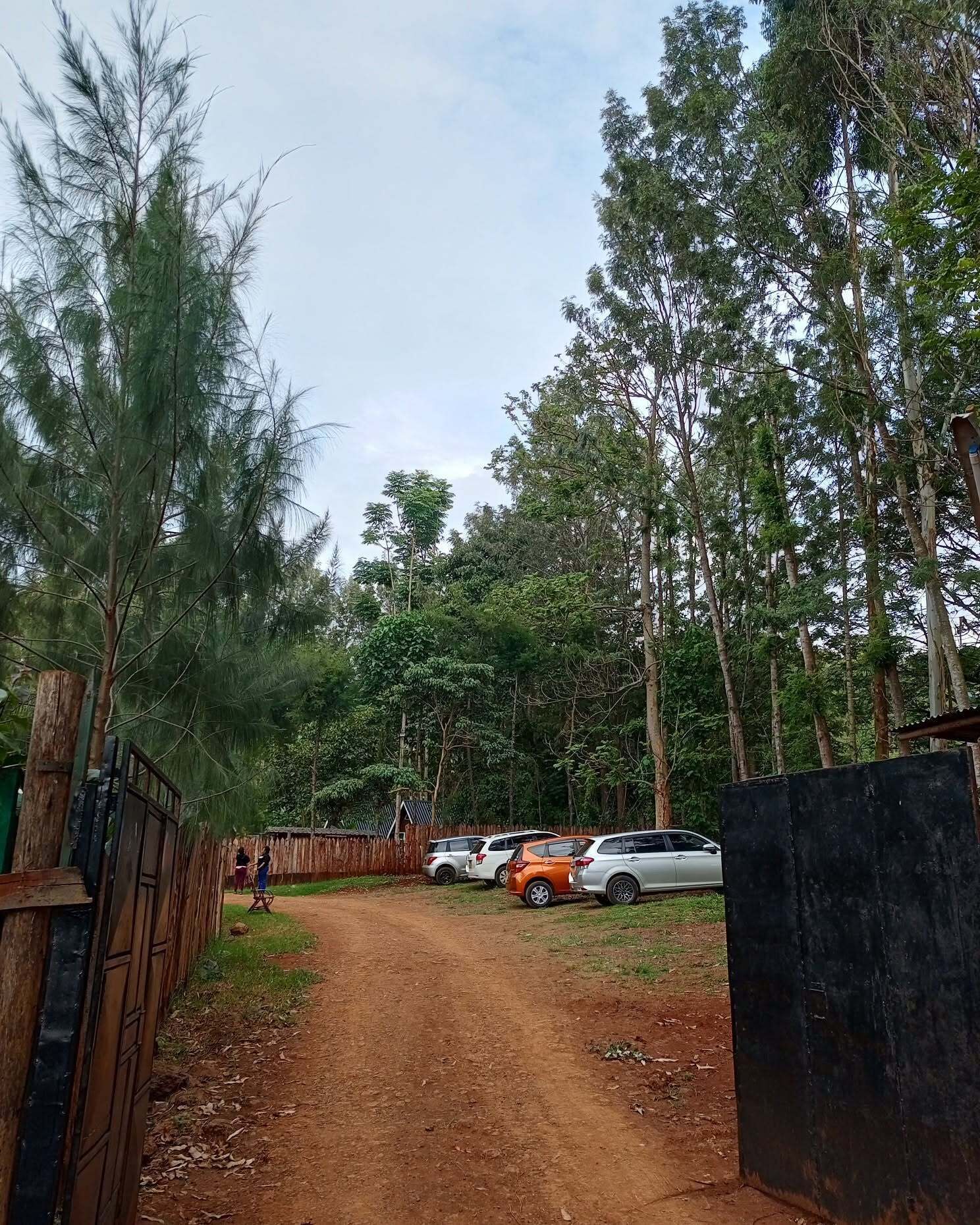 Área da propriedade