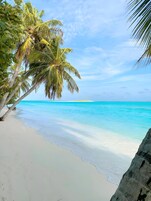 Uma praia com águas turquesa cristalinas, areia branca e palmeiras.