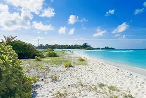 Uma praia com águas turquesa cristalinas, areia branca e vegetação verdejante.