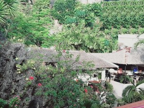 Um jardim exuberante com diversas plantas tropicais e uma estrutura com telhado de palha.