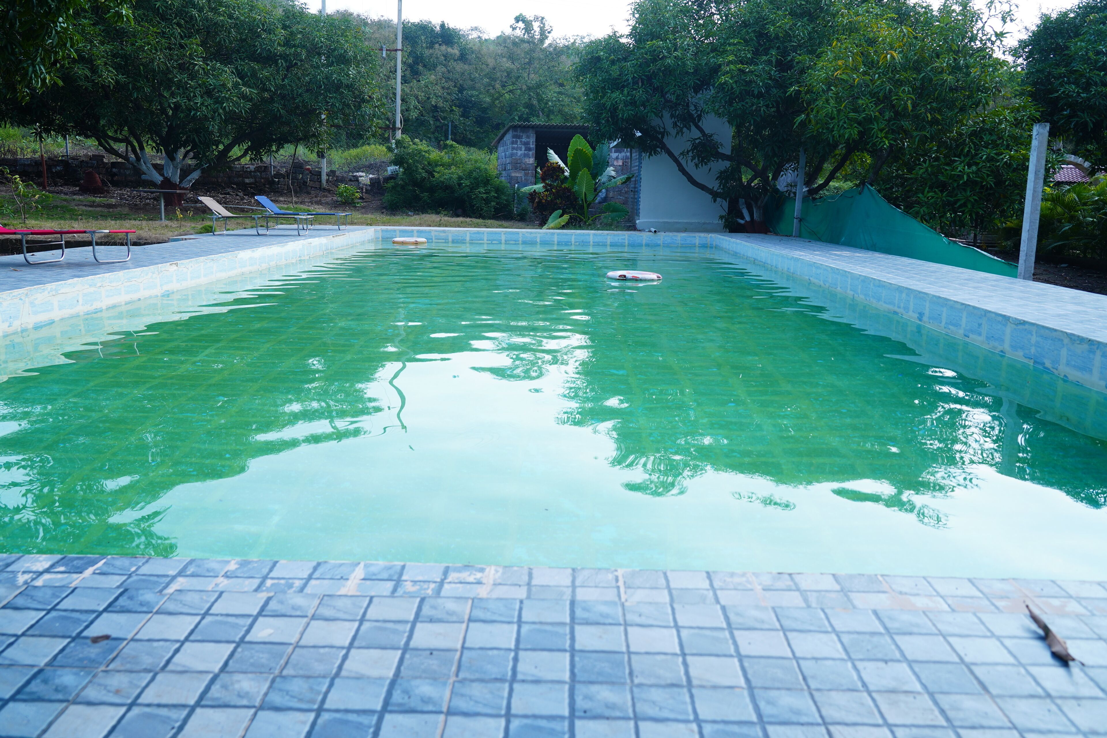 Piscina exterior 