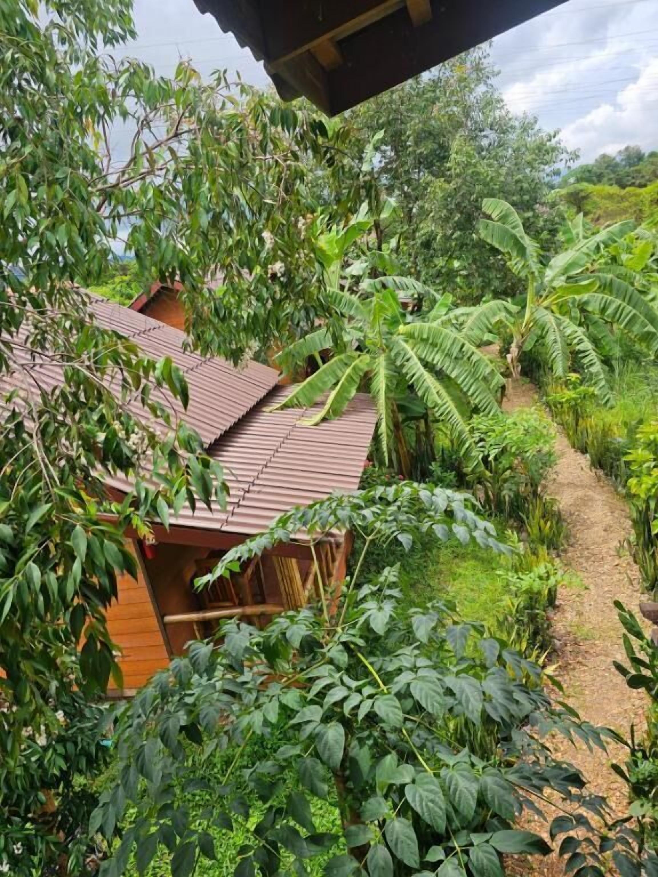 Terrenos do alojamento