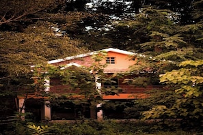 Edifício parcialmente escondido pela vegetação, com uma janela visível e fachada de tijolos.