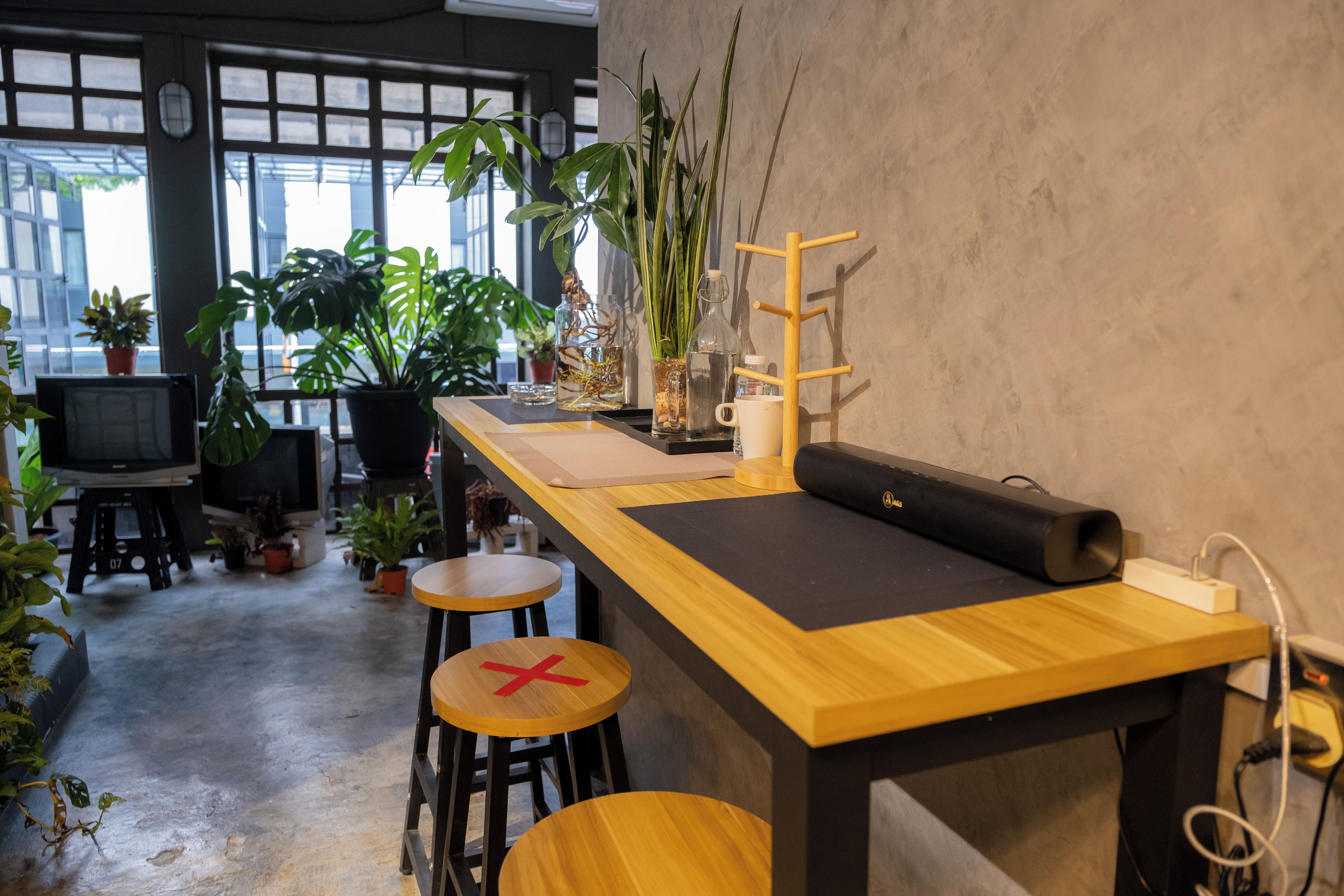 Um espaço de bar moderno com banquetas, balcão e diversas plantas.