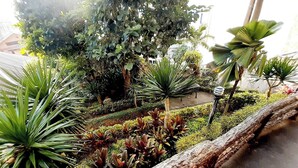 Um jardim com diversas plantas e um banco de madeira.