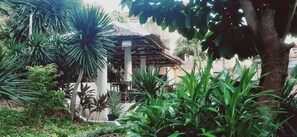 Um jardim exuberante com diversas plantas tropicais e uma estrutura com telhado de palha.