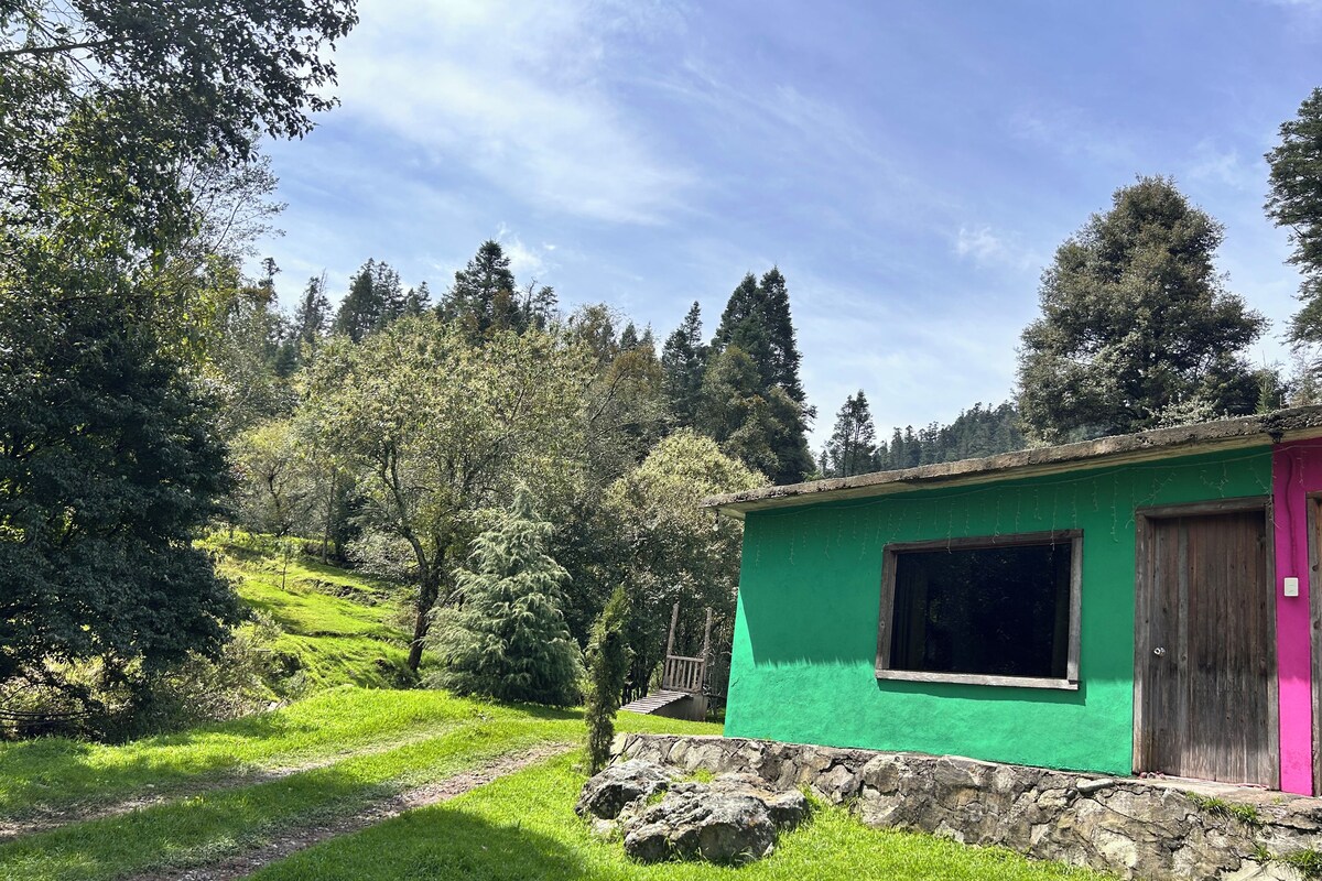 Edifício verde com porta rosa, rodeado por vegetação exuberante e árvores.