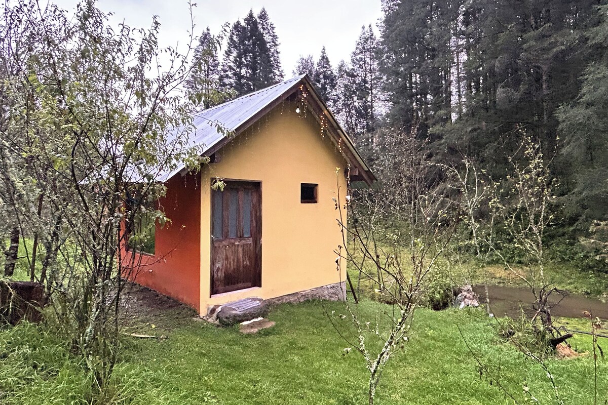 Uma cabana pequena e térrea com telhado inclinado, rodeada por grama e árvores.