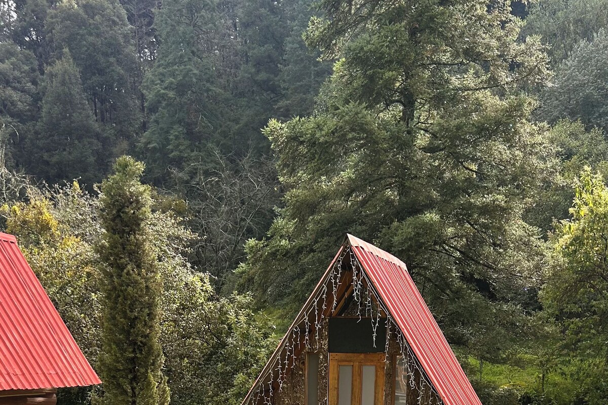 Uma pequena cabana de madeira com telhado vermelho, rodeada por um gramado bem cuidado e alguns vasos de plantas.