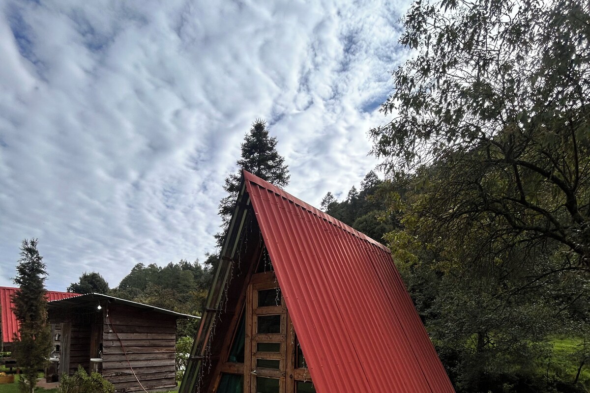 Uma cabana de madeira pequena e triangular com telhado vermelho, rodeada por grama e árvores.